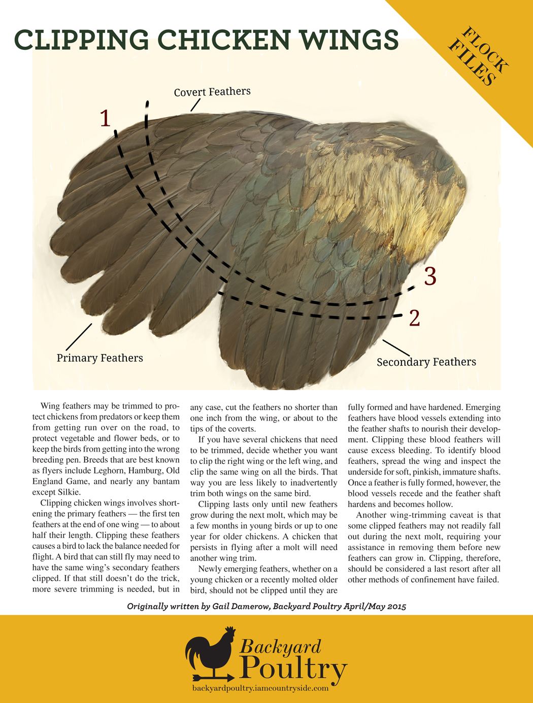 Clipping Chicken Wings - Backyard Poultry